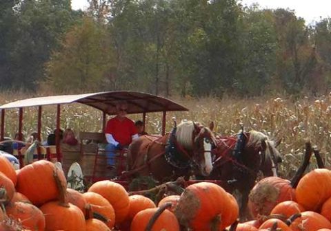 Hayrides are a treasured autumn tradition - Discover Vintage America