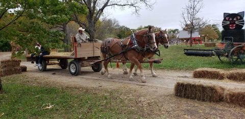 Hayrides are a treasured autumn tradition - Discover Vintage America